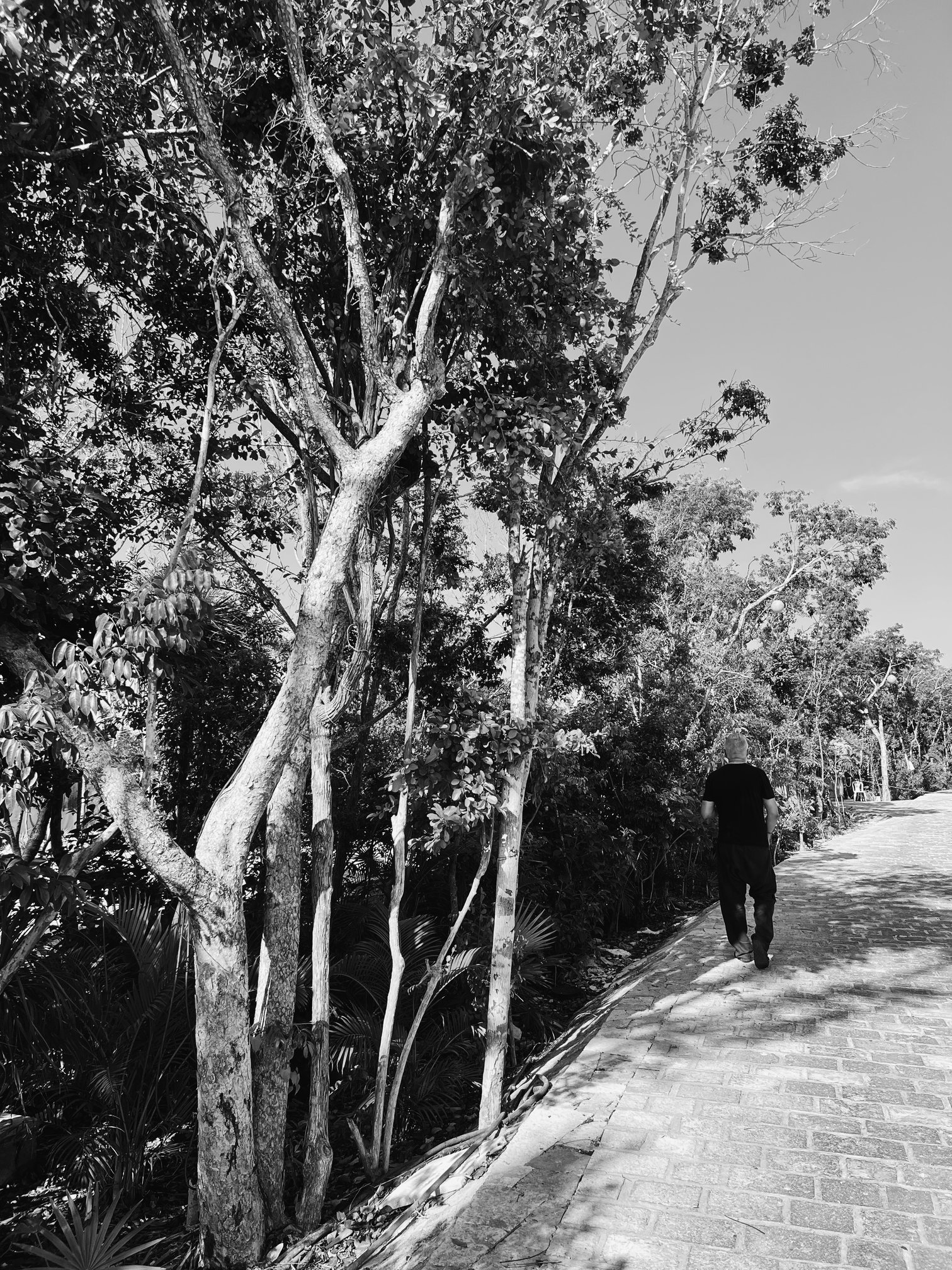 Where the Innovative Design of Tulum 101 Meets Hector Esrawe