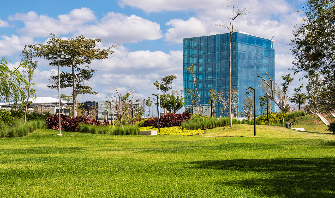 5 ciudades sustentables en México con los mejores parques y áreas verdes